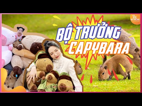 Viên Vibi BÓC MẼ TÀI SẢN \