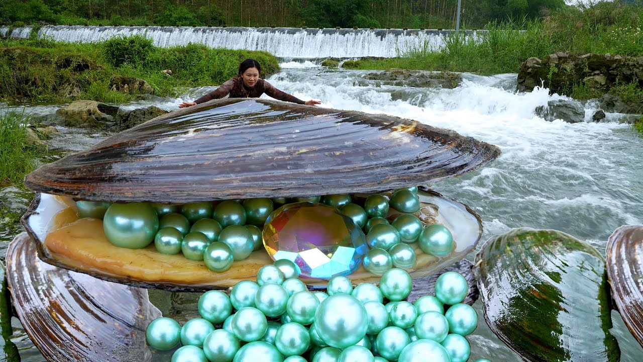 😱🎁Giant clams growing in the rapids, nurturing precious pearls and ...