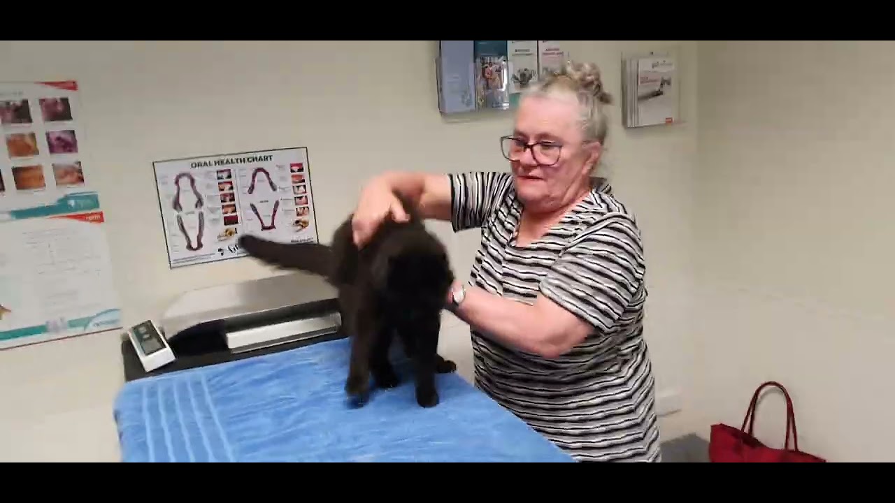 Ruby (Part-2) - YouTube