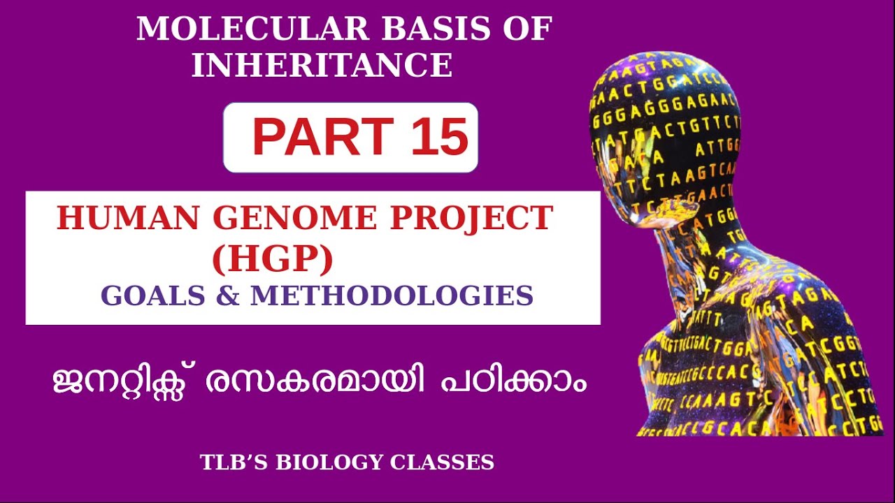 Molecular Basis |Part 15|Human Genome Project| Class 12|Zoology|Kerala ...