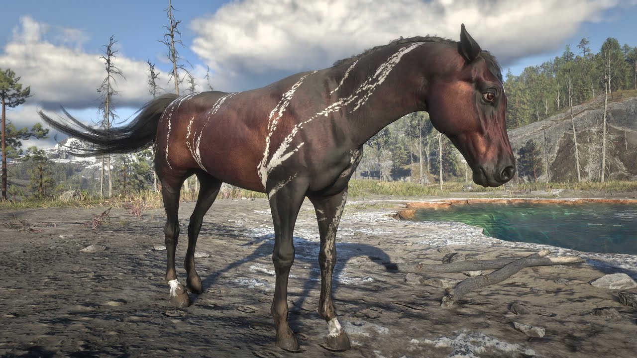 RDR2 - Finding and Taming the Illusive Warped Brindle Arabian - YouTube