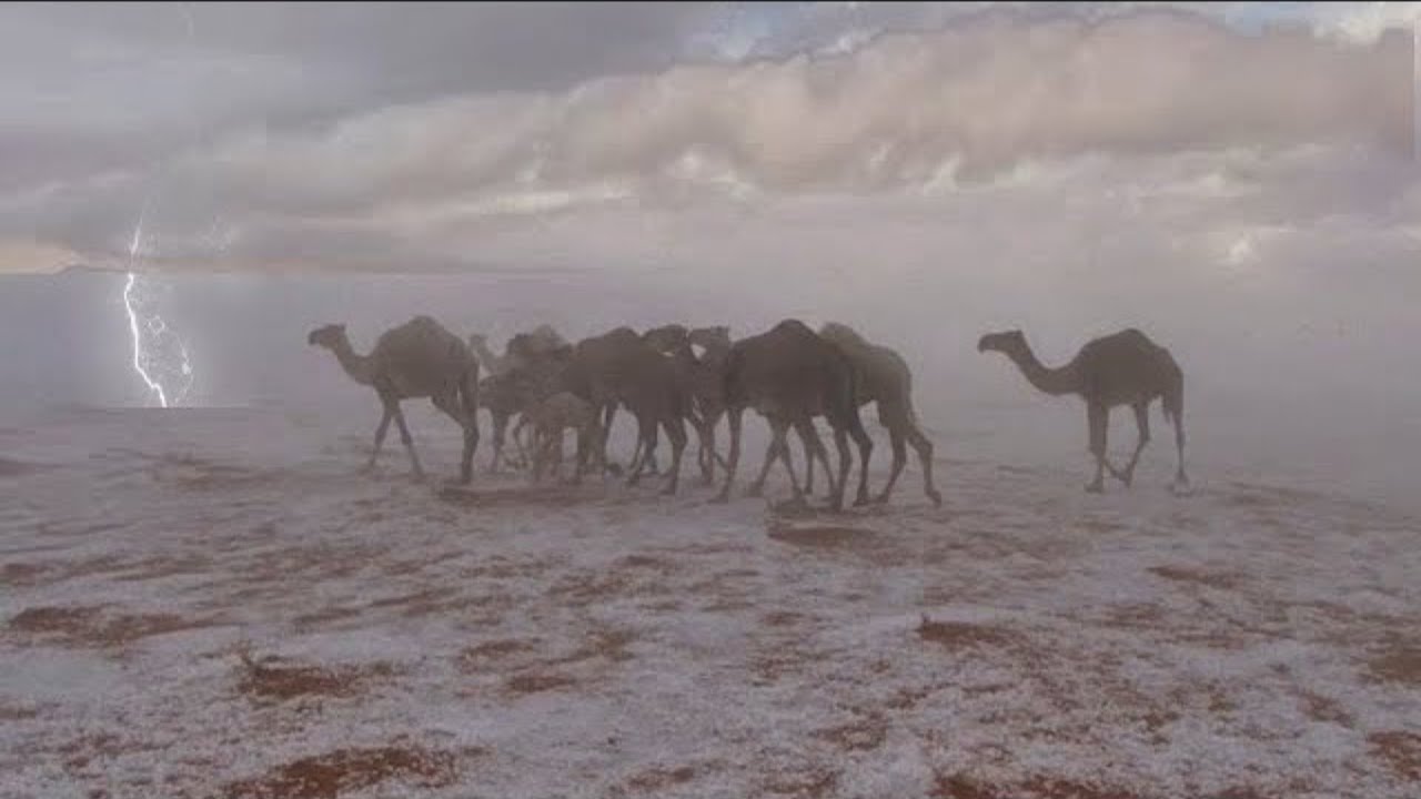 Incredible incident! Cold descends in the desert, a hailstorm and ...