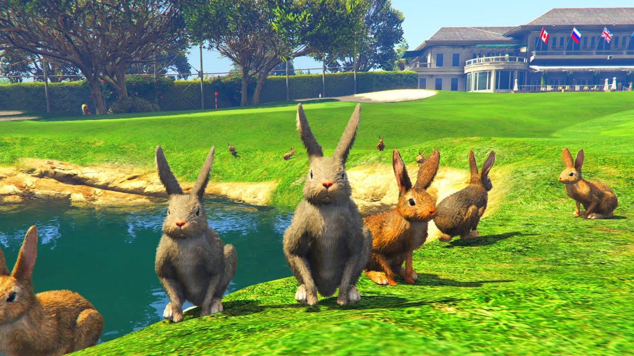 🐇 Playing as a Rabbit in GTA 5! Funny Moments, Explosions, and Epic ...