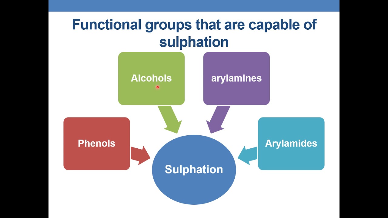 SULPHATION - YouTube