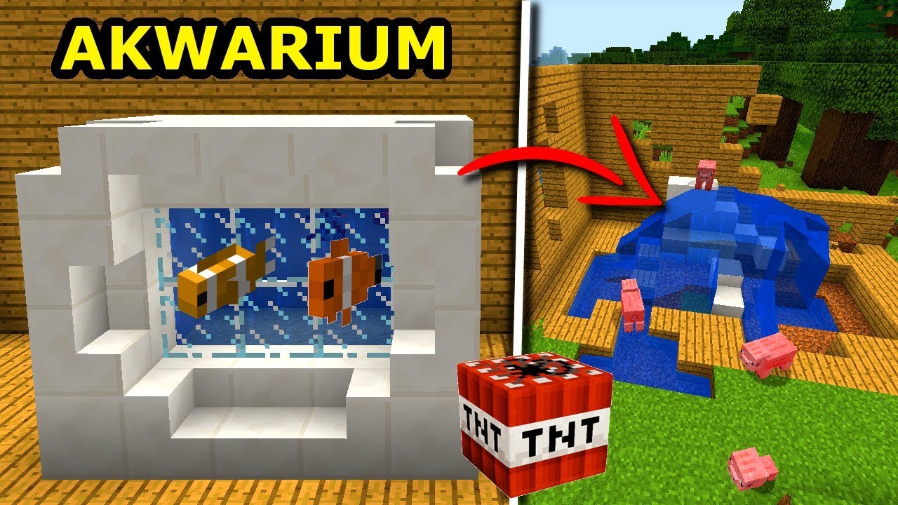 Jeż Na Ferajnie 4- MOJE AKWARIUM ZNISCZONE!!! BANDYTA NA FERAJNIE ...