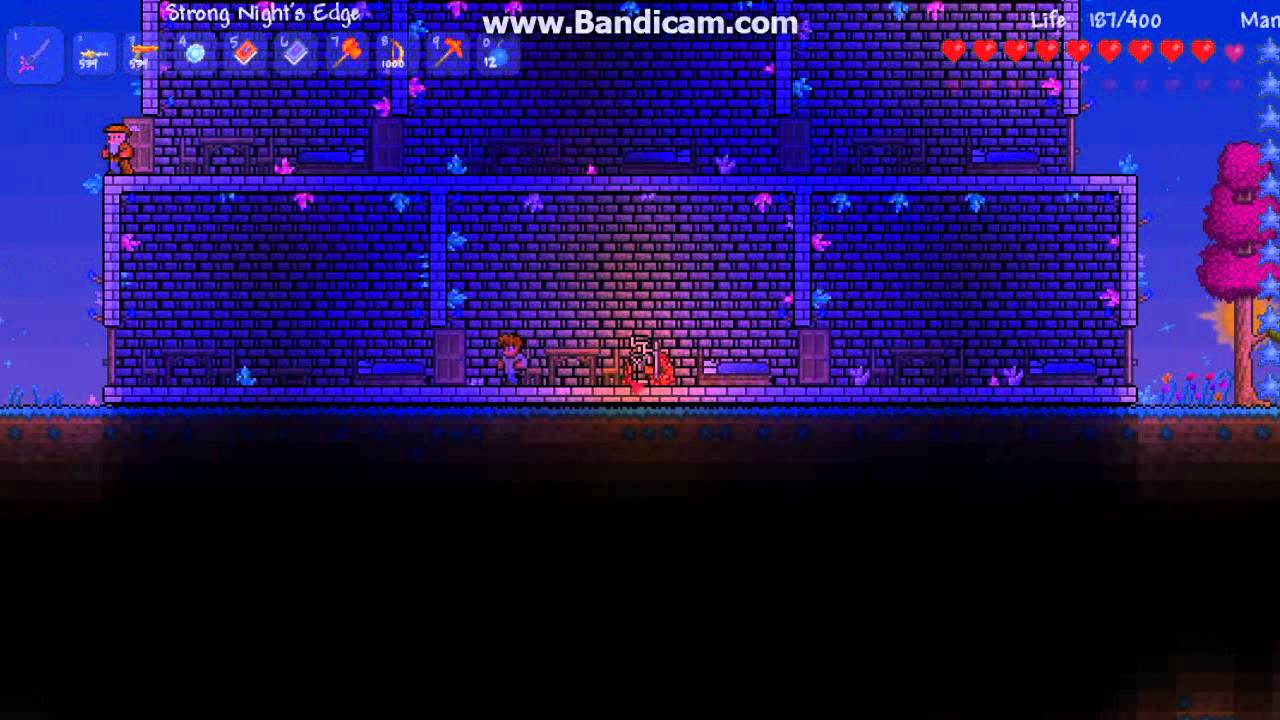 Lets Play Terraria - BIRDS- #15 - YouTube