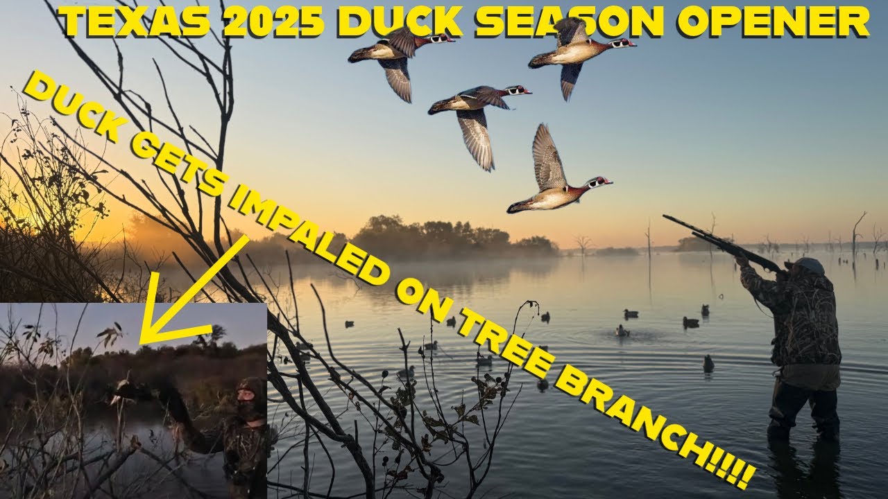 Texas Duck Opener Chaos — Insane Shots & Incredible Dog Retrieves! A ...