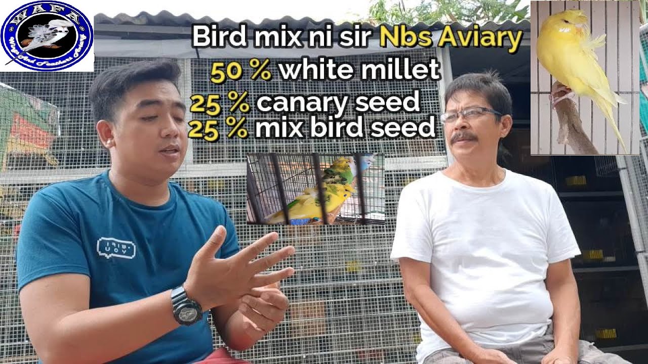 Antibiotic na me probiotic... 2 in 1 sa isang sachet.. sa halagang di ...