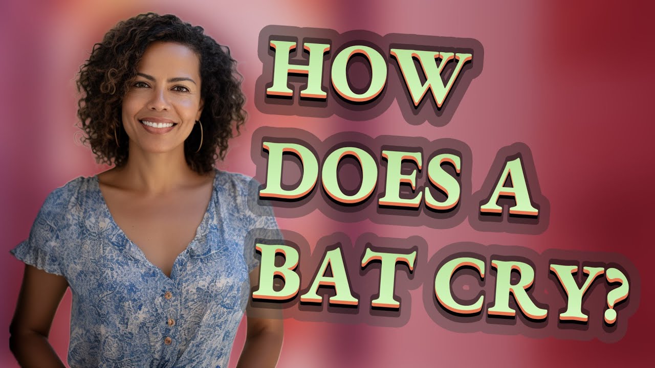 How does a bat cry? - YouTube