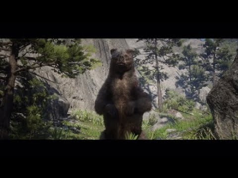 Lucho con el OSO LEGENDARIO en RDR2 - YouTube