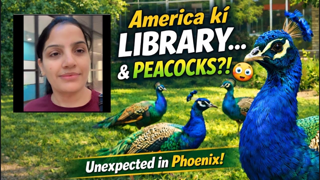 Peacocks in an American 🇺🇸 Library?! 🦚 | Life in Phoenix USA Vlog - YouTube