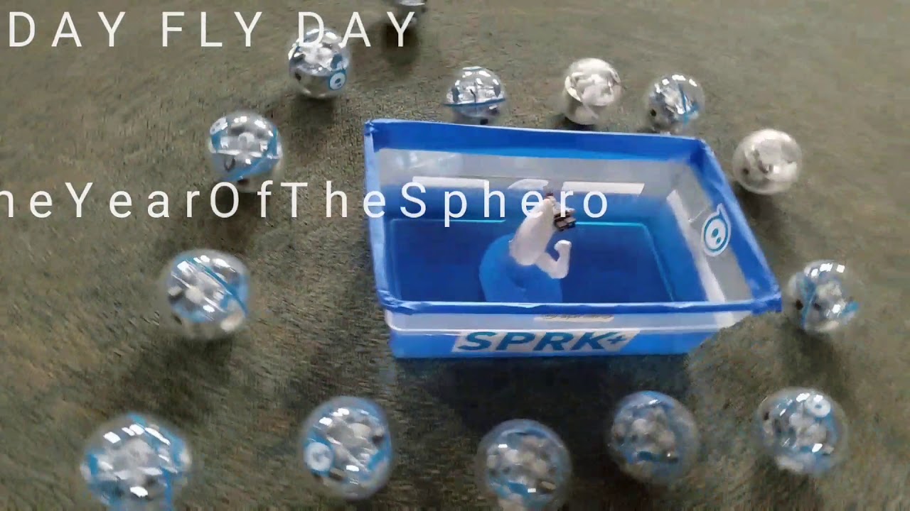 Friday Fly Day - YouTube