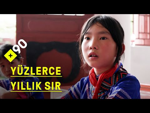 Çinli kadınların gizli dili | Nüshu nedir?