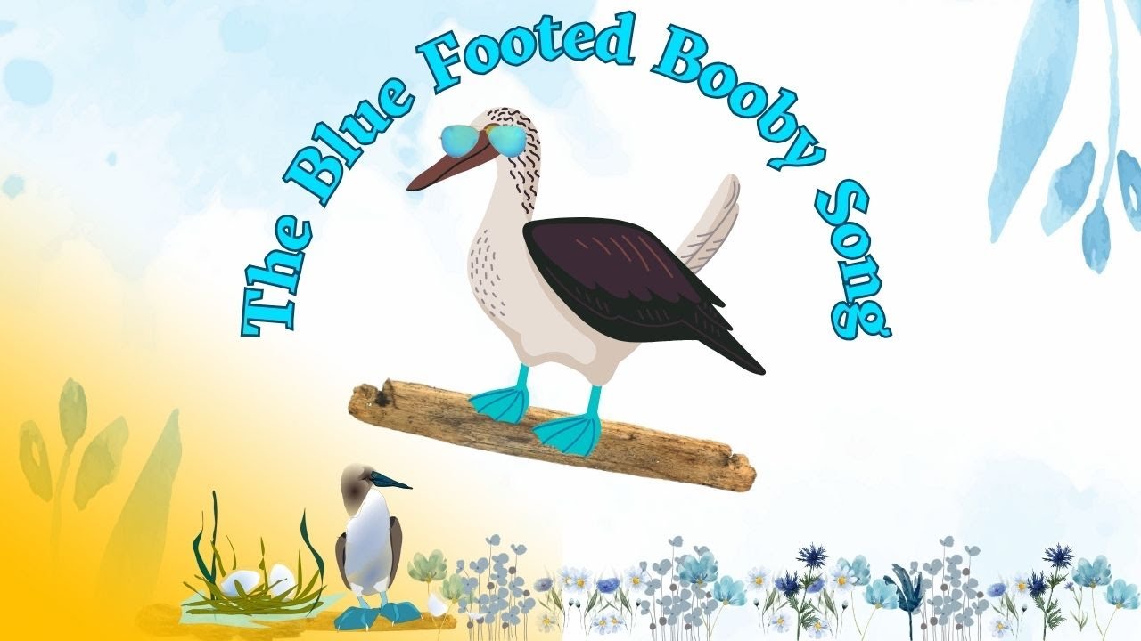 The Blue-Footed Booby Song | Animal Songs for Kids | Blue-Footed Booby ...