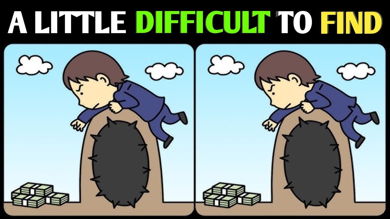 Not Easy to Find The Difference: Can You Find Them All? [ Find The ...
