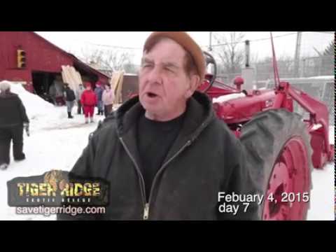 Save Tiger Ridge - Day 7 - Tiger Ridge Exotics Rescue - YouTube