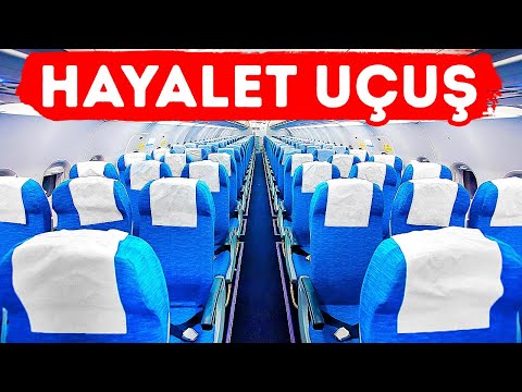 Bir Kabin Memuru, Boş Bir Uçuş Sırasında Ekibin Ne Yaptığını Anlatıyor