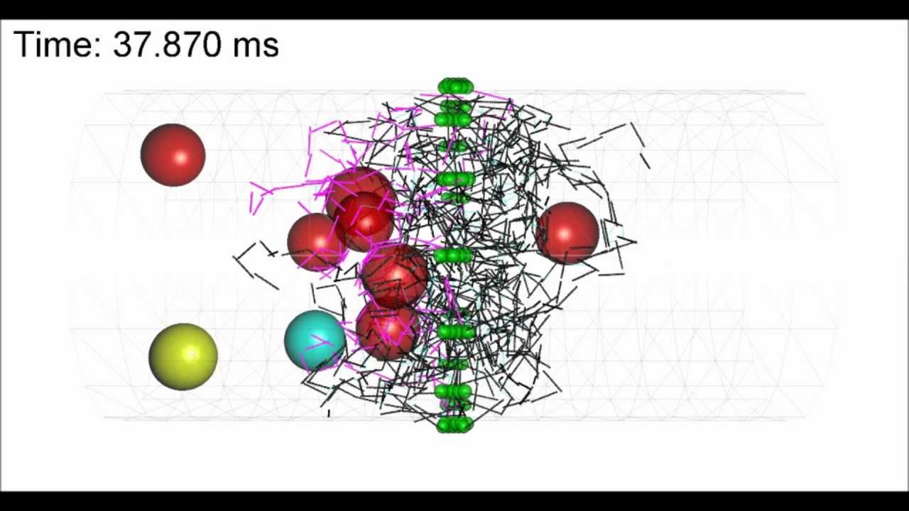 Simulating nuclear pore complex (NPC) transport - YouTube