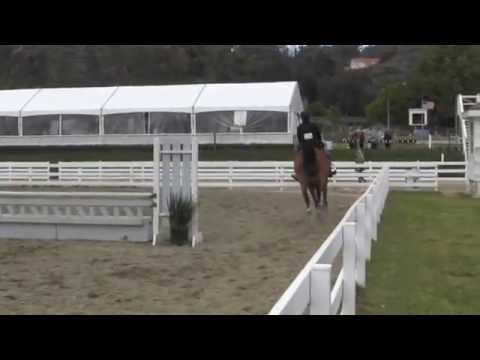 GSDHJA Medal Holly and Vintage - YouTube