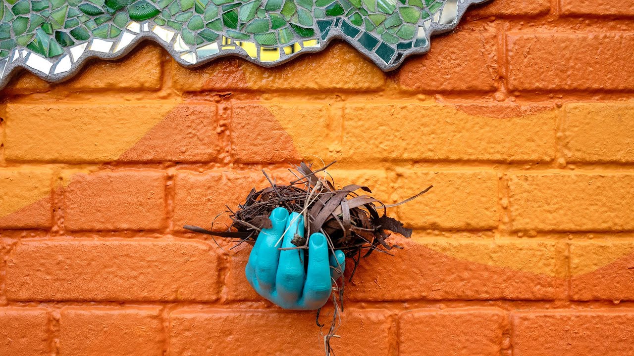 Audubon Mural Project: American Robin by Jessica Maffia - YouTube