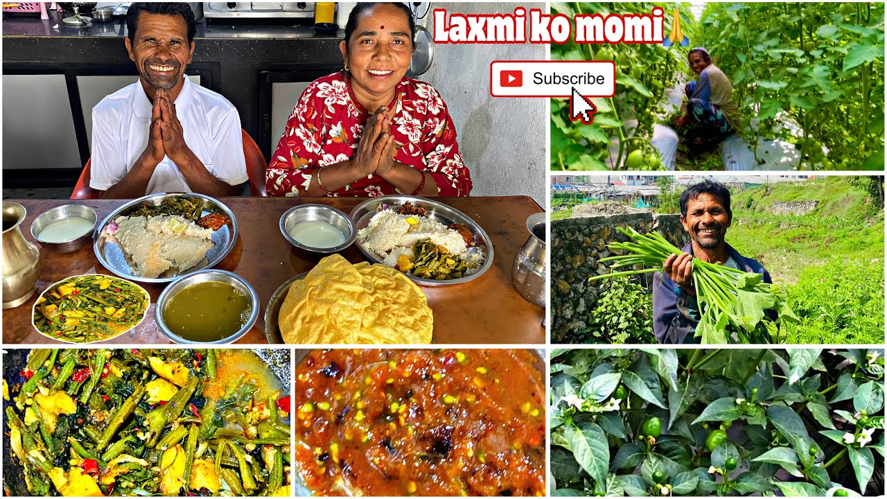 Aaja ️🌱🌱aafanai bari ko farsi ko munta ko tarkari sanga khana khadai# ...