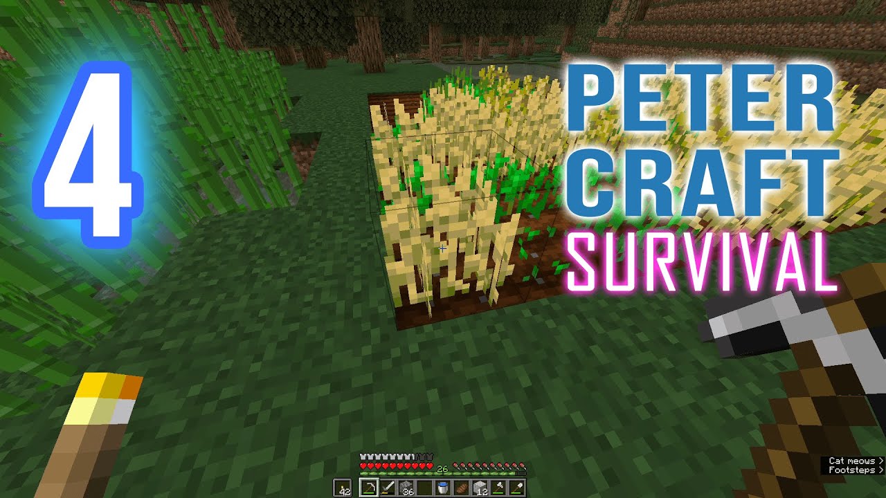 [4] Building Infrastructure and Housing -- PeterCraft Survival - YouTube