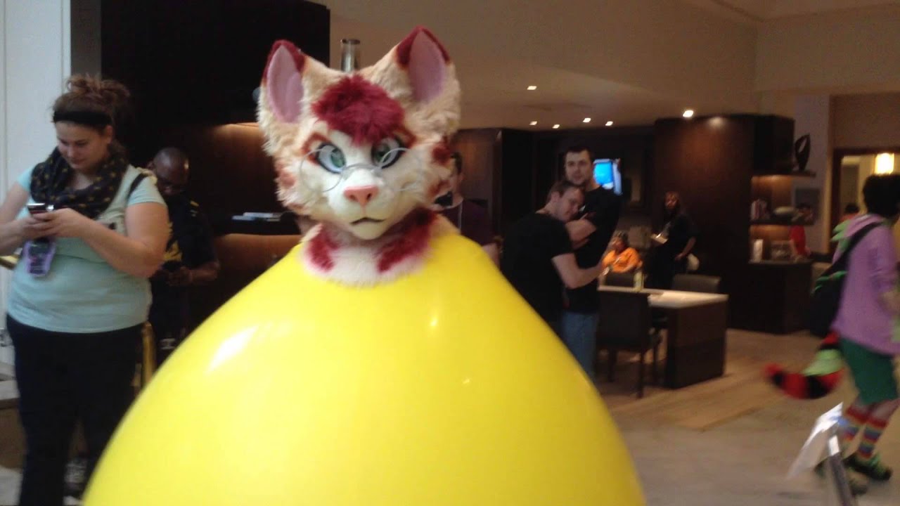 Anthrocon 2015: Lemon Cat - YouTube