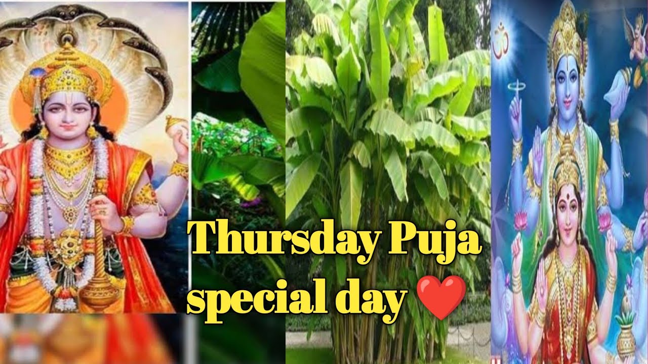 Thursday Puja special day ️ | Vishnu Bhagwan ke Puja vlogs | Mamta ...