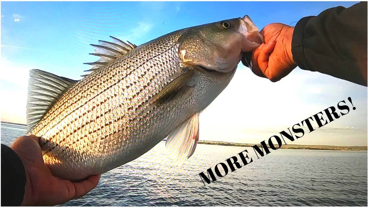 More Monsters! - YouTube