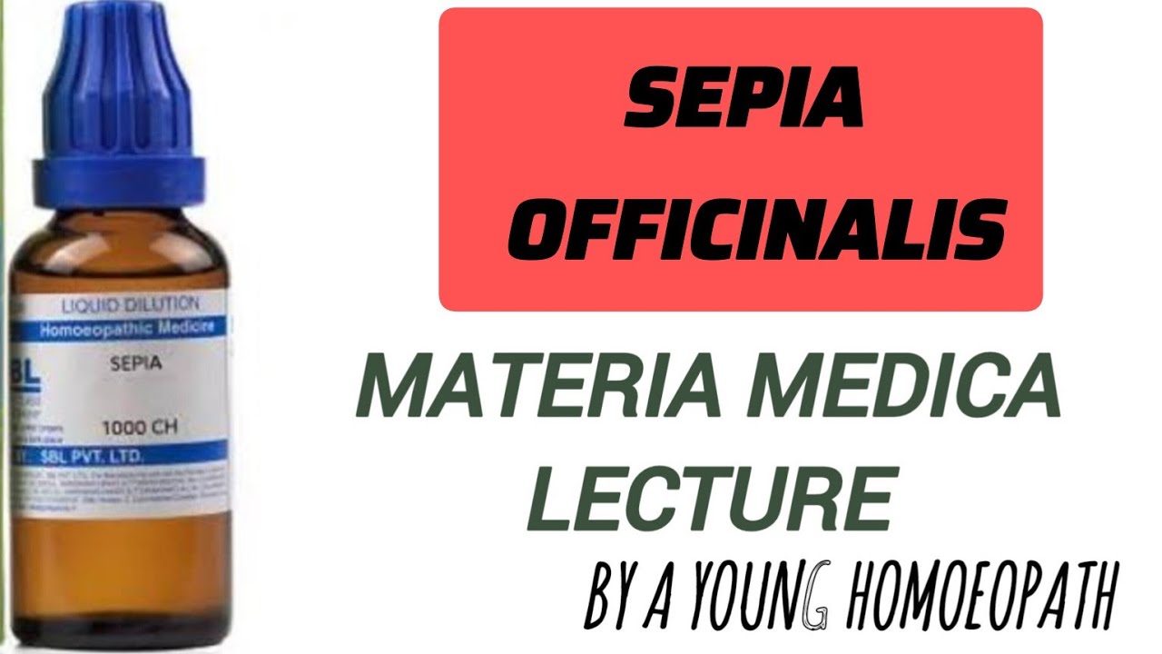 SEPIA OFFICINALIS//part 1// explained with hand written note. - YouTube