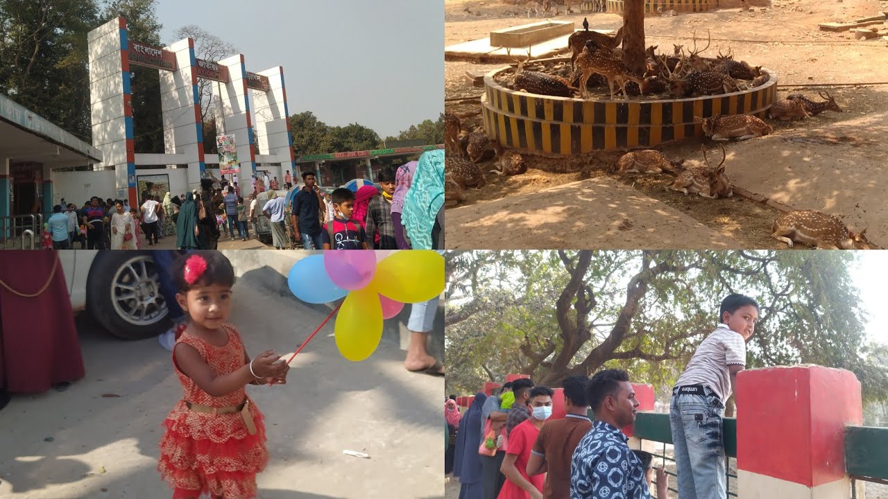 শশুরবাড়ি সবাই চিড়িয়াখানা গুঁড়তে গেলাম || মিরপুর || Vlog#2 || ivy ...