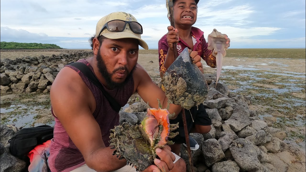 Spider Shells & Oysters, Collect Cook Munchies 👌🕷️🐚 - YouTube