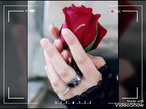 💞Lovely 💗  status 💞 tumho mere sananam...💗