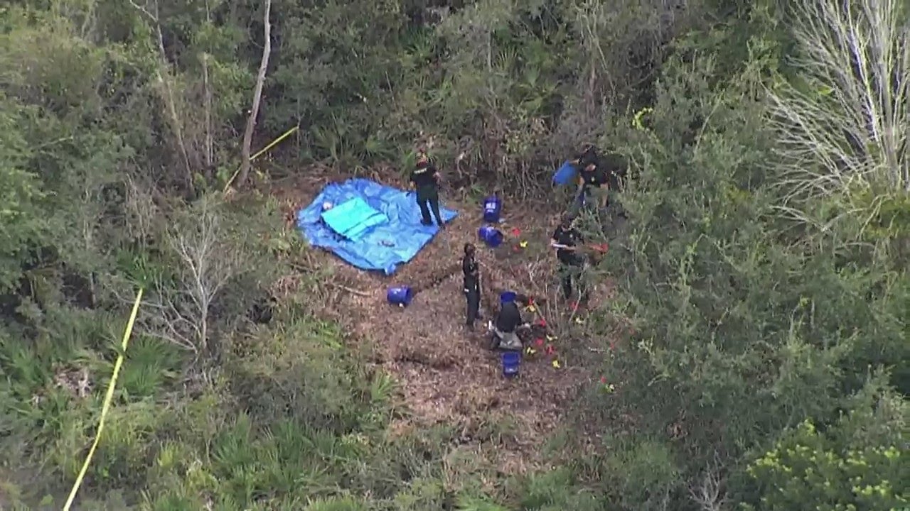Aerial view: Skeletal remains investigation in Hudson, Florida - YouTube