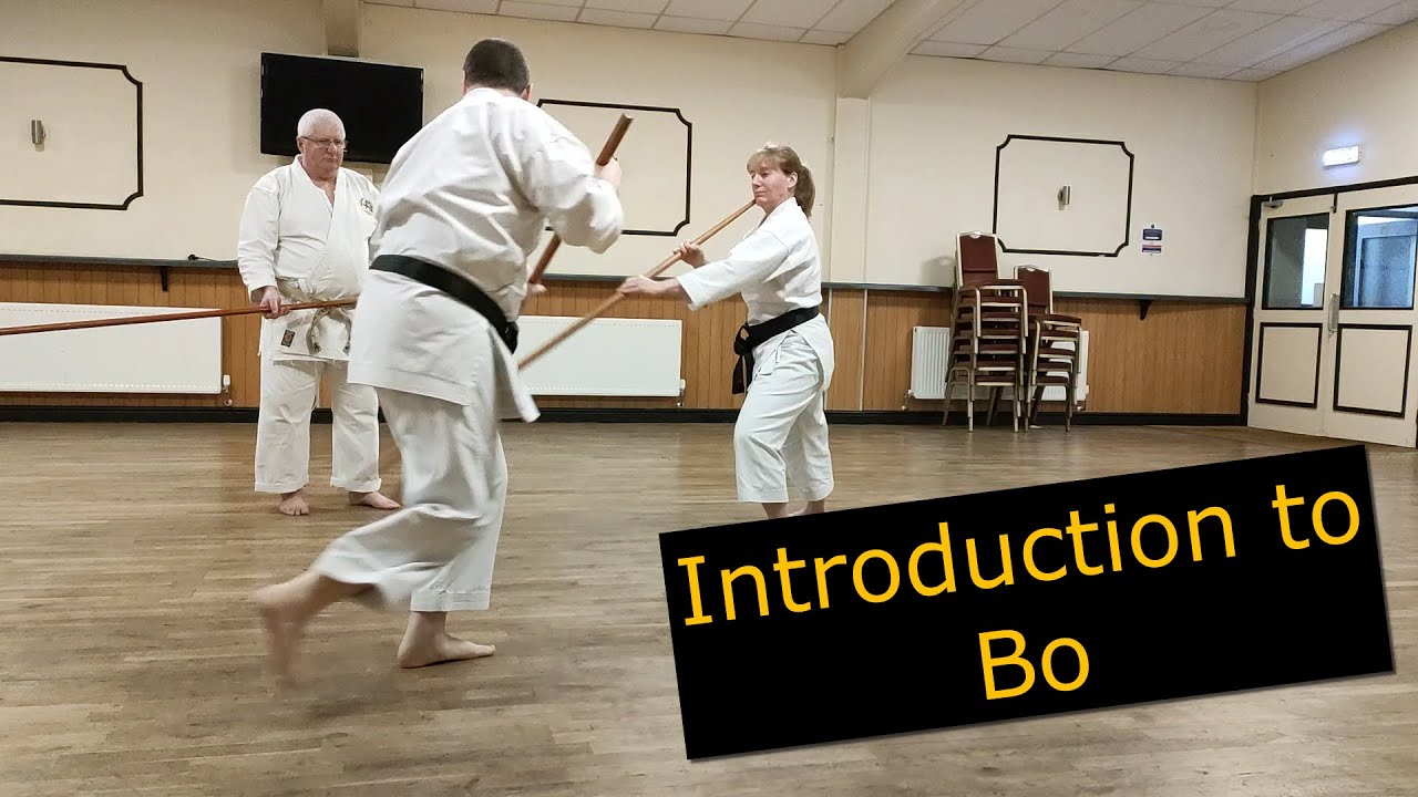 Introduction to Bo Training - YouTube