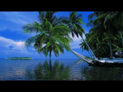 Love Me Again - John Newman ( Tiktok remix )