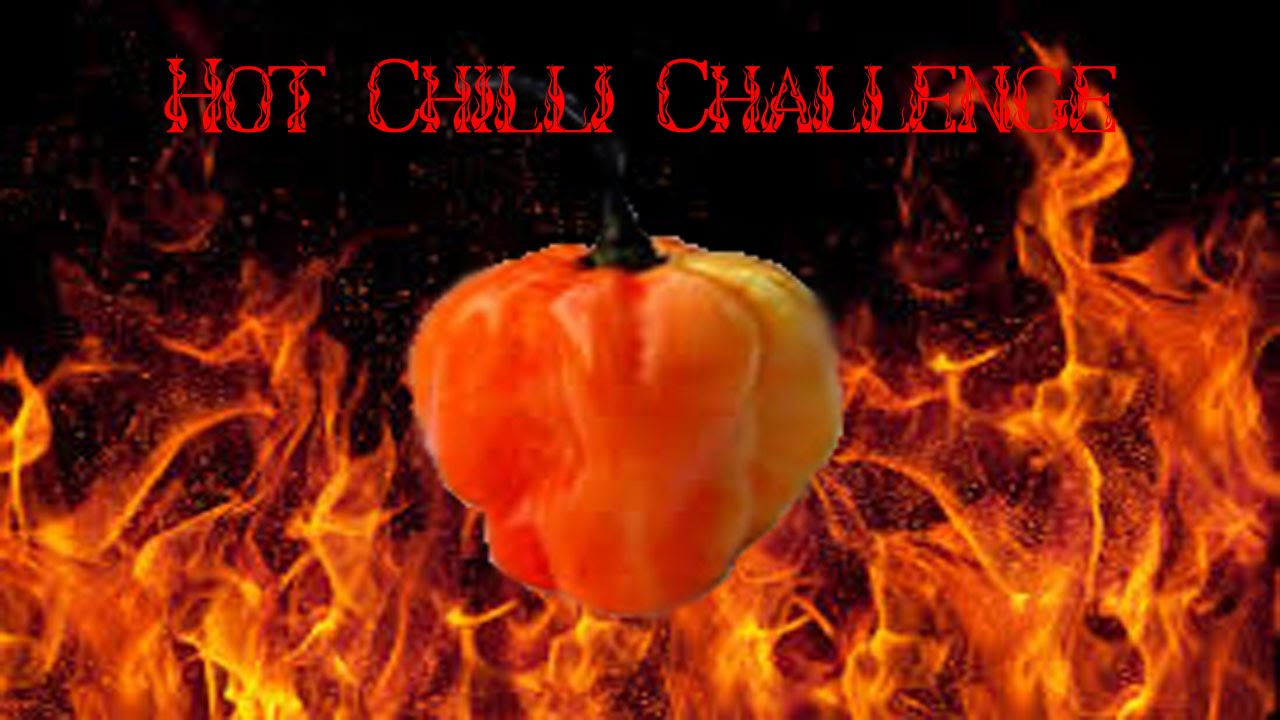 Hot Chilli Challenge *VOMIT WARNING* - YouTube
