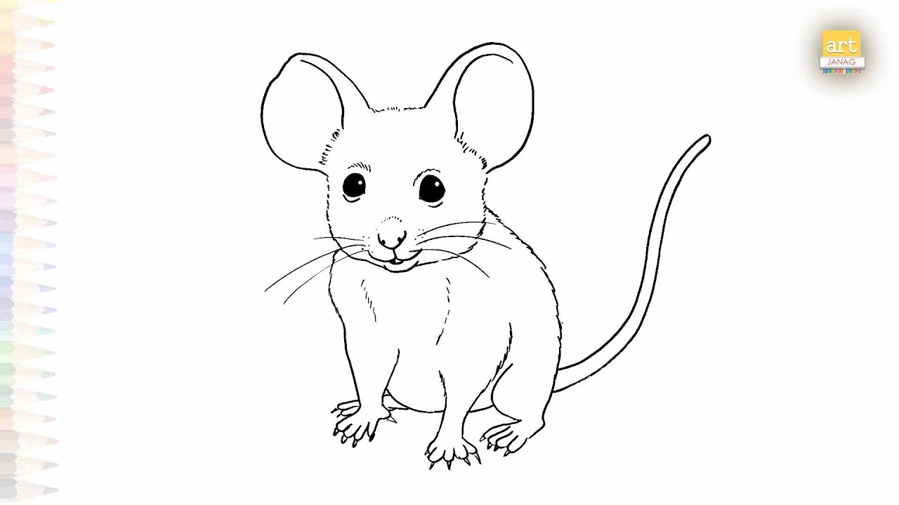 Mouse easy drawing | Outline sketches simply draw | How to draw A Mouse ...