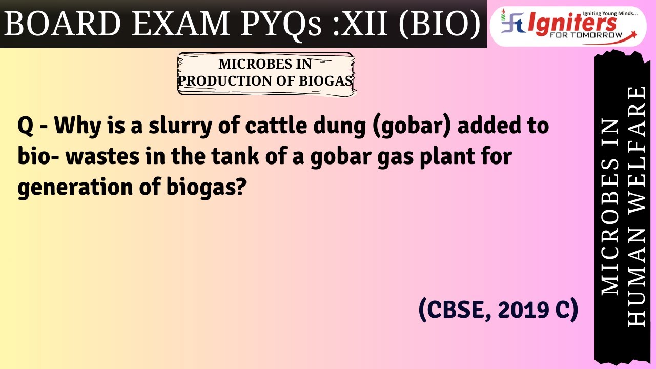 Why is a slurry of cattle dung (gobar) added to bio- wastes in the tank ...