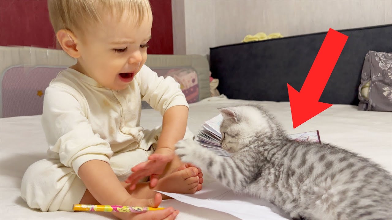 Baby is Angry Kitten Doesn't Let Him Draw - YouTube