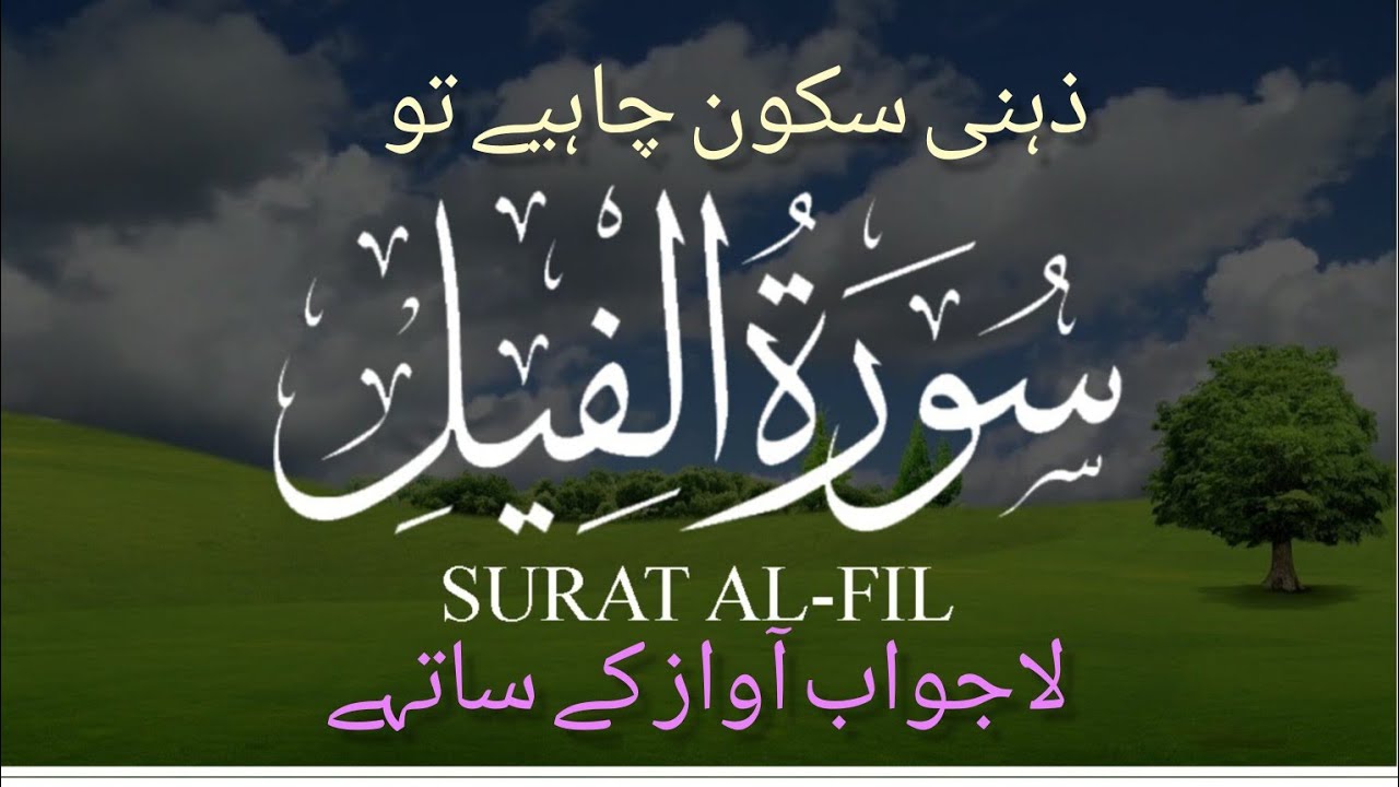 Surah fil Full Surat Beest Ayat pawar Full Al Quran Arabic Text 2024 By ...
