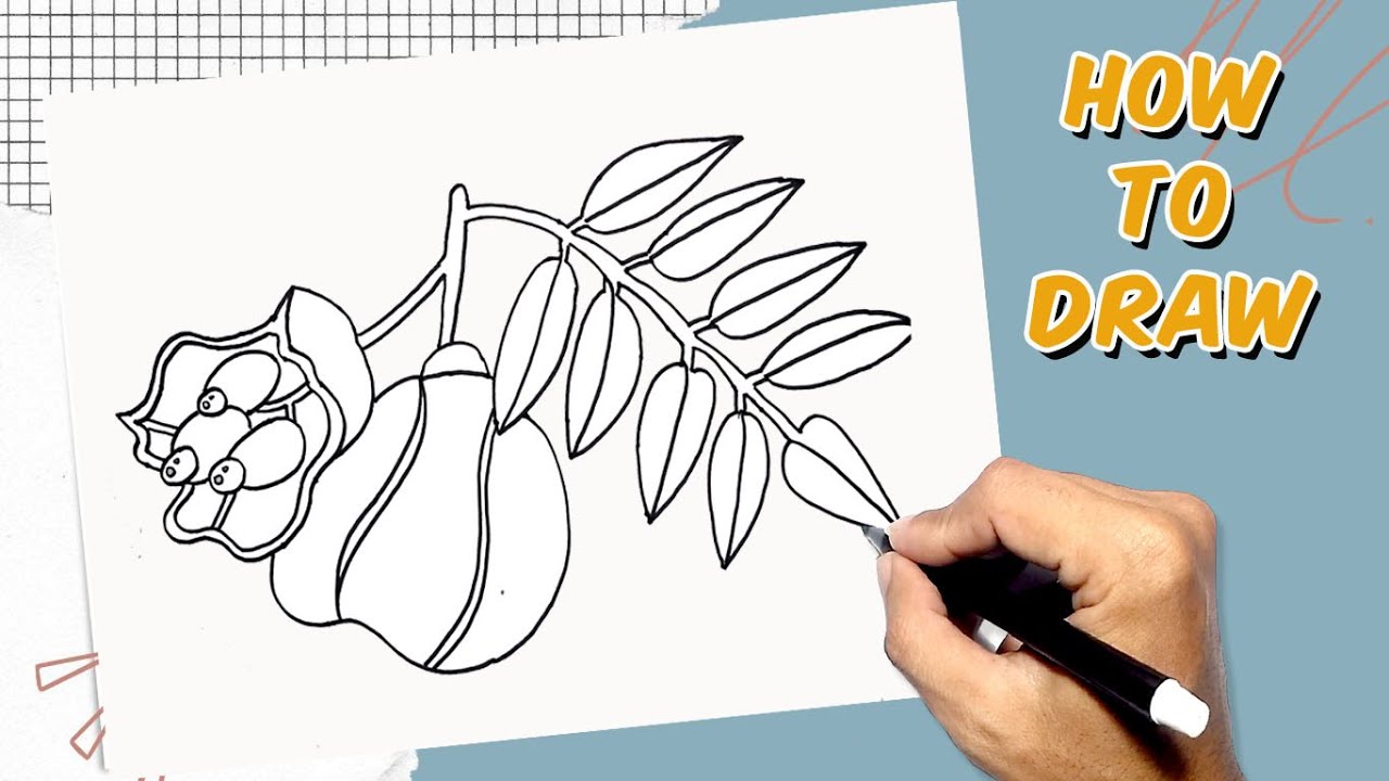 How to Draw Ackee - YouTube