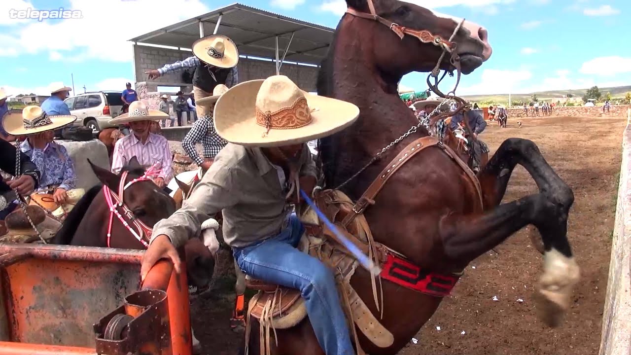 Lo Mejor de los Coleaderos 2023 - YouTube