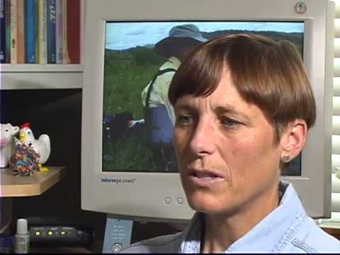 The George W. Bush Administration's Changes in BLM Management