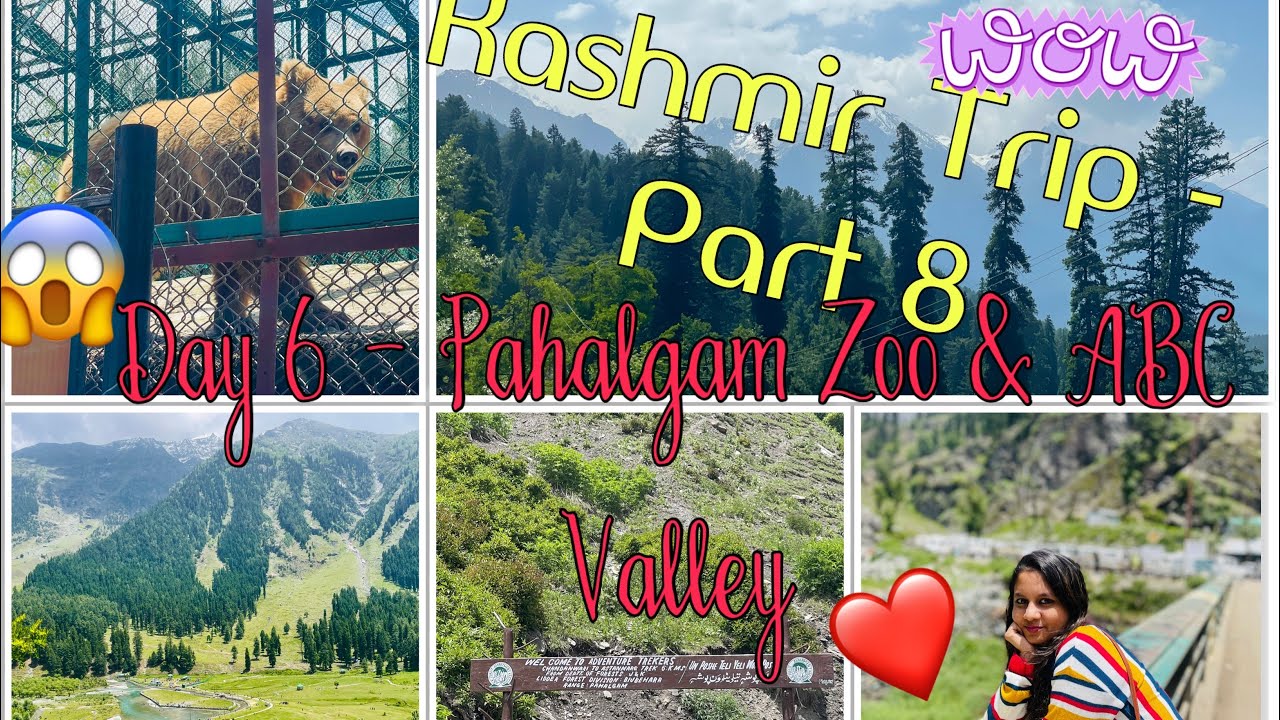 Kashmir Trip ⛰💚|| Part 8 || Day 6 - Pahalgam Zoo 🐻|| Aru Valley ...
