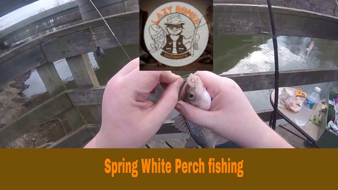Spring fishing for white perch - YouTube