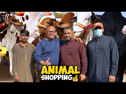 Mandi Se Heavy Shopping 🛍️ – Lakho Ke Bail Kharid Liye🐂💰 | BT Farm Stories