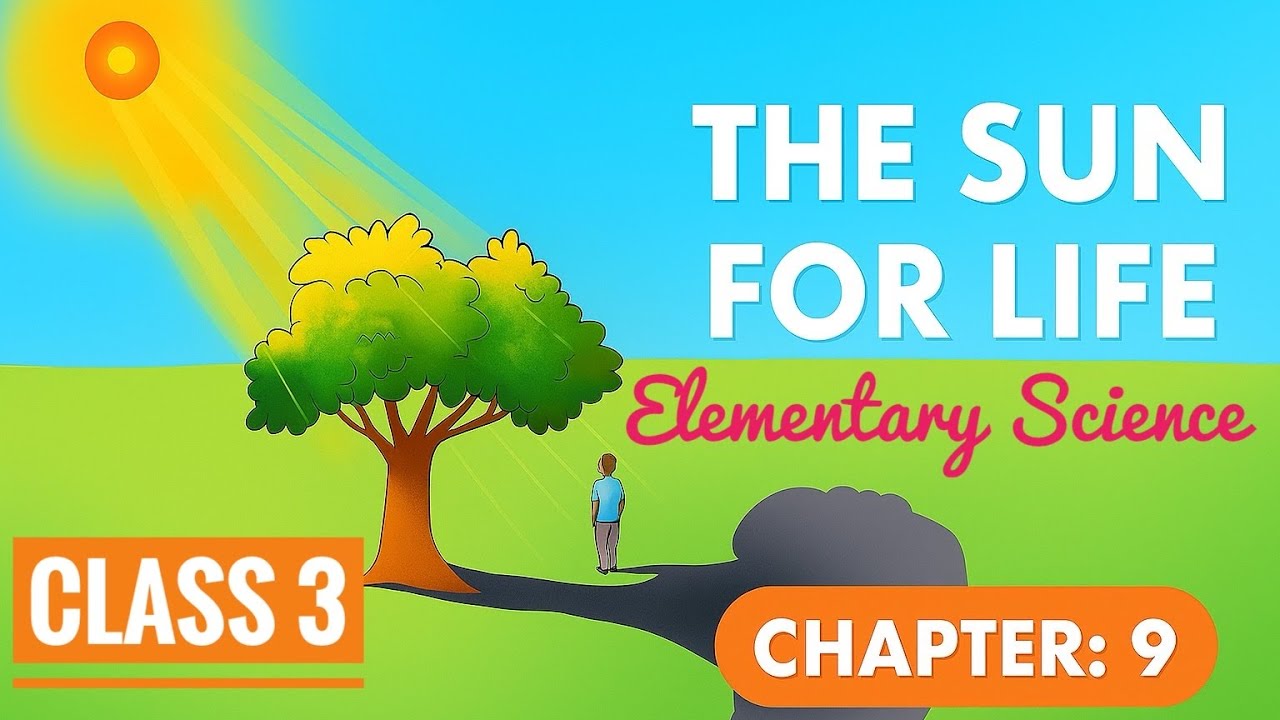 Class 3 । The Sun for Life । Chapter 9 । Elementary Science । Page: 121 ...
