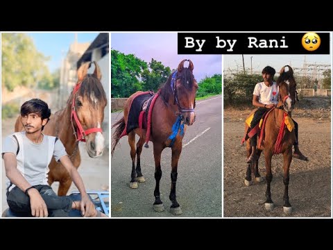 Aaje Rani ne vechi nakhi 🥺 - YouTube