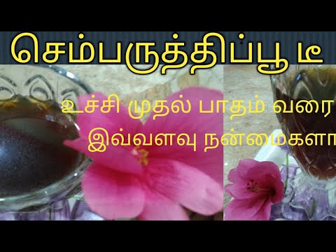 செம்பருத்தி பூ தேநீர் / hibiscus tea/how to make sembaruthi flower tea ...